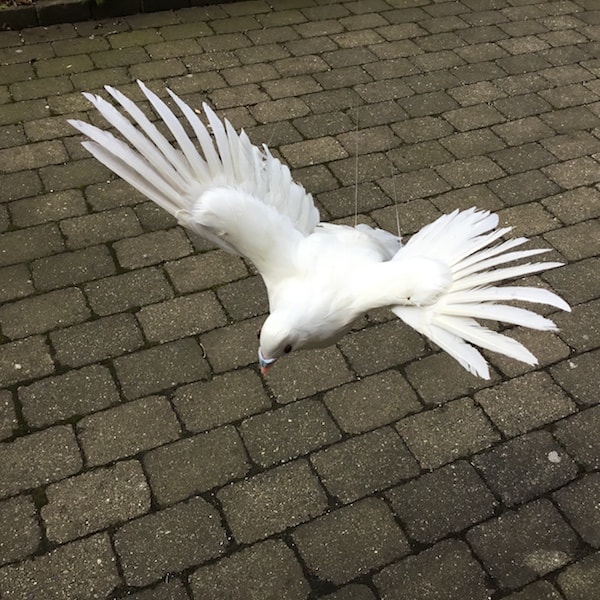 Hvid due der flyver - Køb dekorative duer til faste lave priser