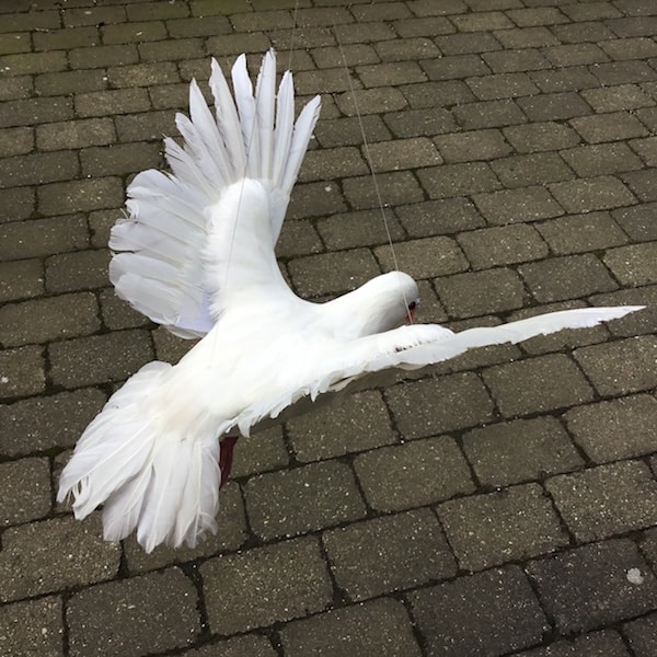 Hvid due der flyver - Køb dekorative duer til faste lave priser