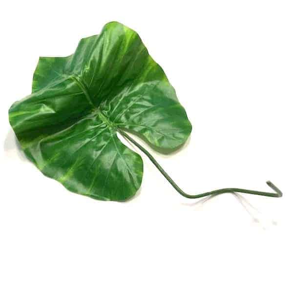 Kæmpe stort grønt blad - Bladet kan bøjes - Dekolagersalg