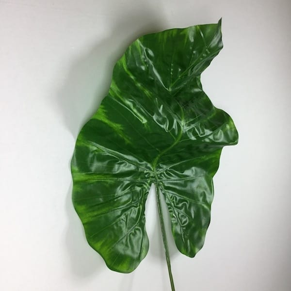 Kæmpe stort grønt blad - Bladet kan bøjes - Dekolagersalg
