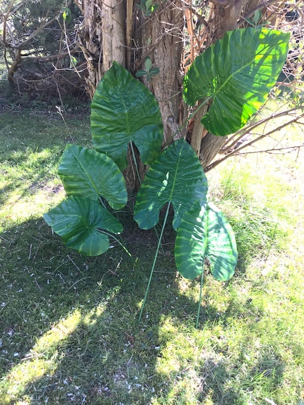 Meget stort grønt blad - Til rigtig billig pris - Dekolagersalg
