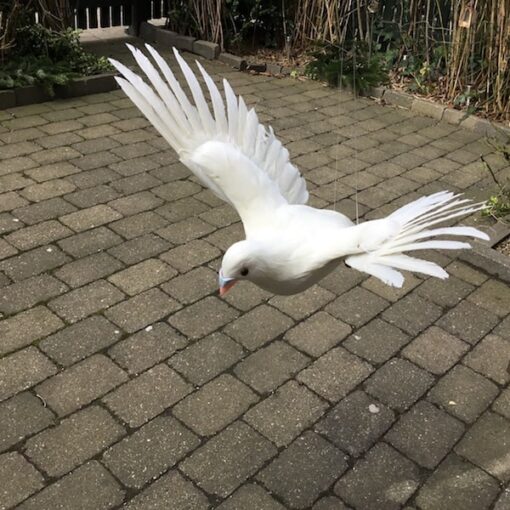 Hvid due der flyver - Køb dekorative duer til faste lave priser