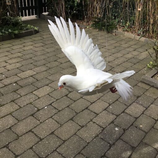 Hvid due der flyver - Køb dekorative duer til faste lave priser