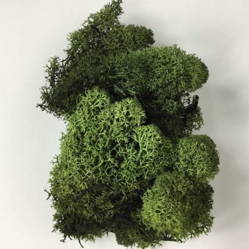 Naturmaterialer til kreative projekter - Køb til faste lave priser