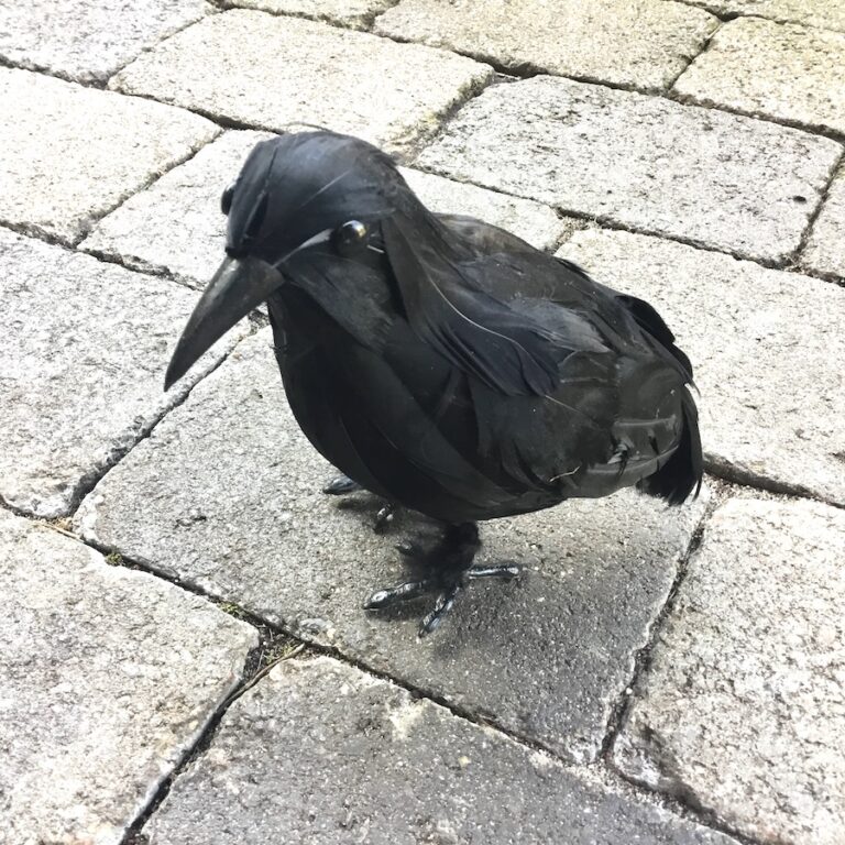 Dekorativ kunstig sort Krage - Med sorte fjer - Dekolagersalg