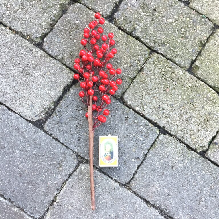 Ilex gren med røde bær - Smuk rød gren - Dekolagersalg