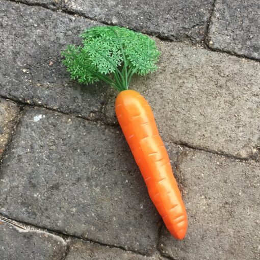 Kraftig gulerod med grøn top - Dekorativ gulerod - Dekolagersalg