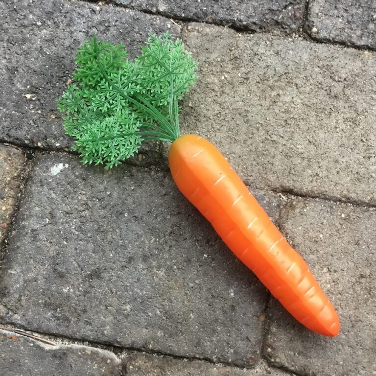 Kraftig gulerod med grøn top - Dekorativ gulerod - Dekolagersalg