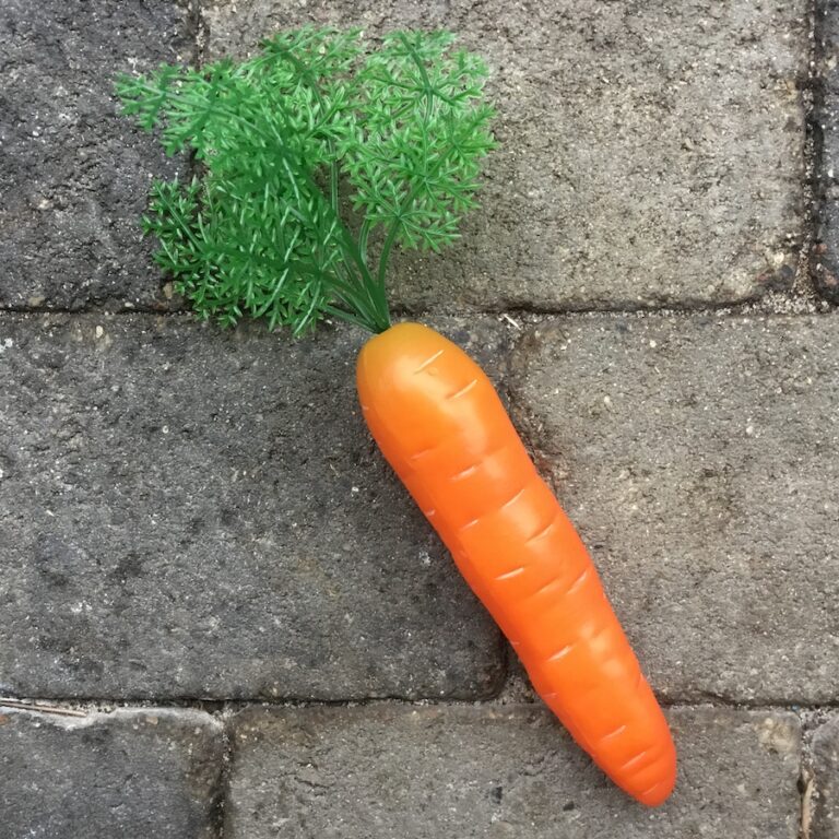 Kraftig gulerod med grøn top - Dekorativ gulerod - Dekolagersalg